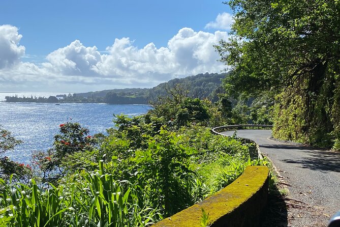Maui by Storm: Epic Private Luxury Road to Hana Adventure Tour - FAQ