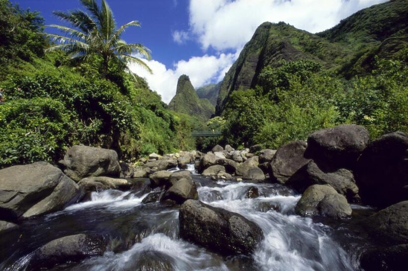 Maui: Custom Elite Tour with Escalade & Meals - Starting the Day in Style