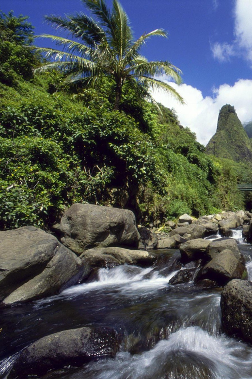 Maui: Custom Elite Tour with Escalade & Meals - Key Points