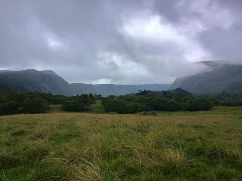 Maui: East Side Hiking Tour - Authentic Experiences and Highlights from Other Travelers