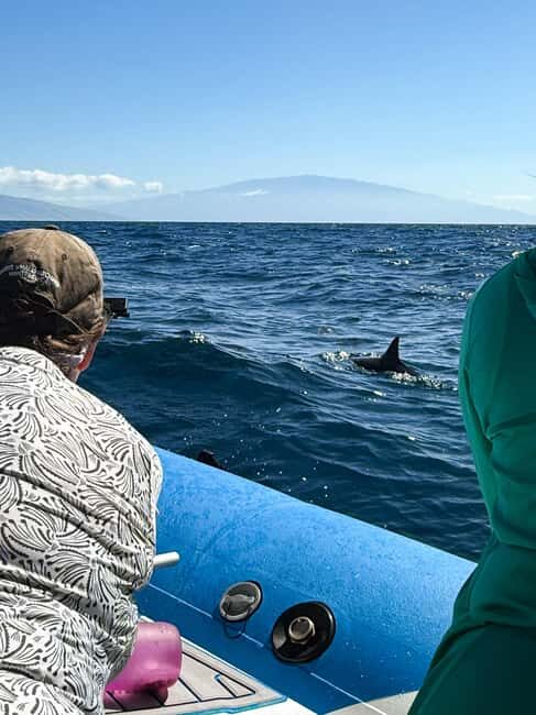 Maui: Eco-Raft Dolphin Watch Tour with Snacks - An Overview of the Eco-Raft Dolphin Watch Experience