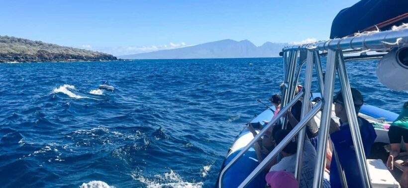 Maui: Eco-Raft Dolphin Watch Tour with Snacks - Value for Money and Practical Considerations