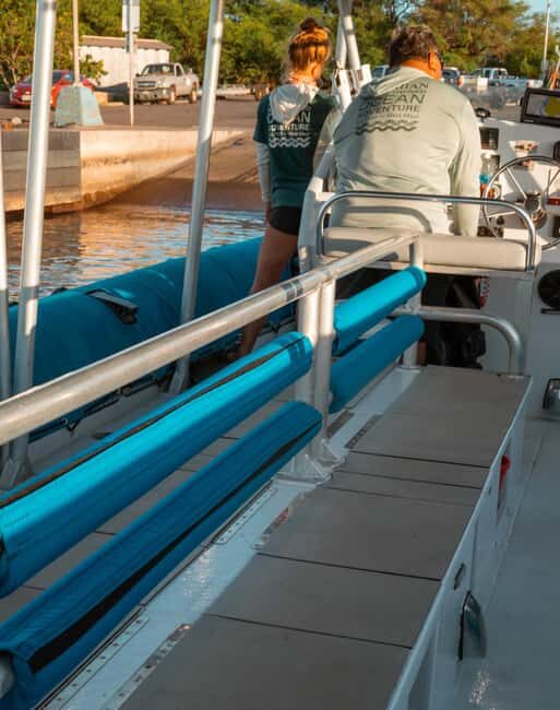 Maui: Eco-Raft Dolphin Watch Tour with Snacks - Real Travelers’ Insights