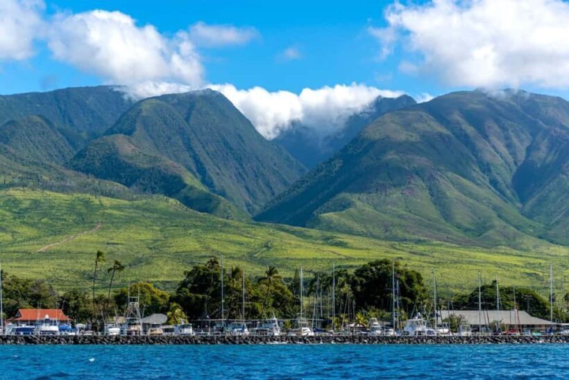 Maui: Eco-Raft Dolphin Watch Tour with Snacks - Final Thoughts