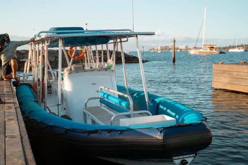 Maui: Eco-Raft Dolphin Watch Tour with Snacks - FAQ