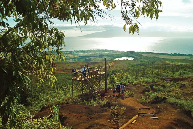 Maui Epic Zipline Adventure: Soar Above Valleys & Islands Views - Key Points