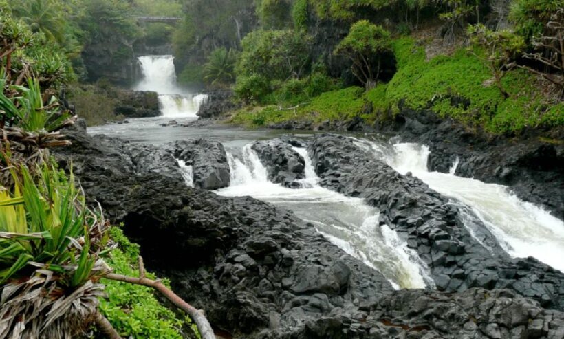 Maui: Full Day Hiking Tour with Lunch - Authentic Experiences and Real-World Feedback