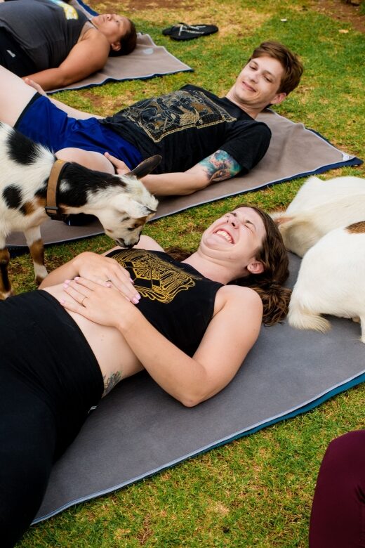Maui Goat Yoga with Miniature Goats - Introduction