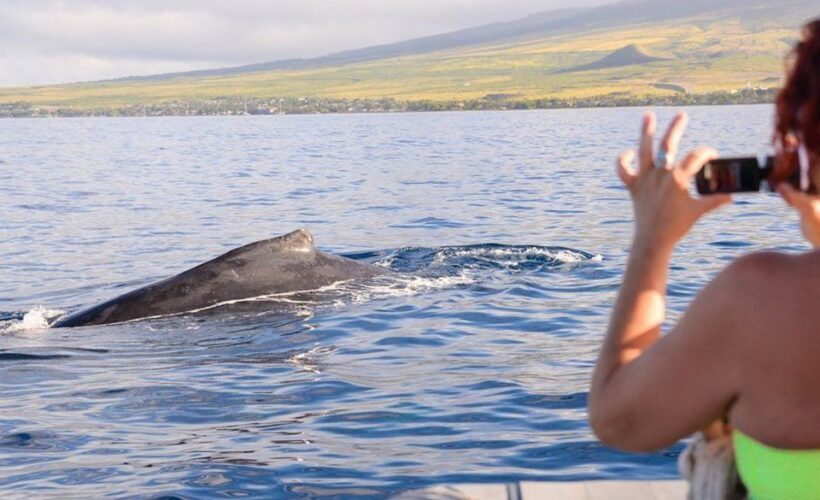 Maui: Guided Whale Watching Tour on Eco Raft - The Value and Practical Aspects