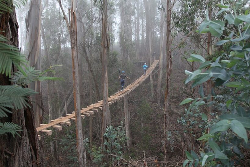Maui: Haleakala 6-Line Zipline Adventure - Key Points