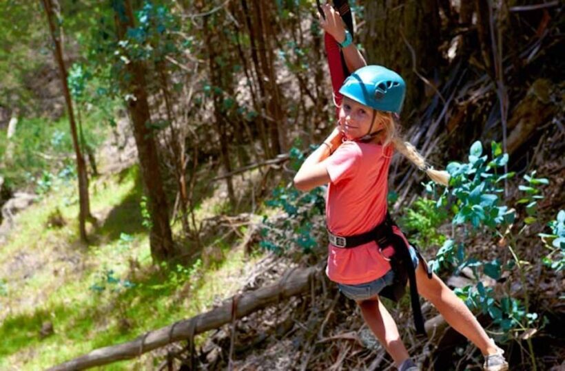Maui: Haleakala 6-Line Zipline Adventure - The Value: What’s Included and What’s Not