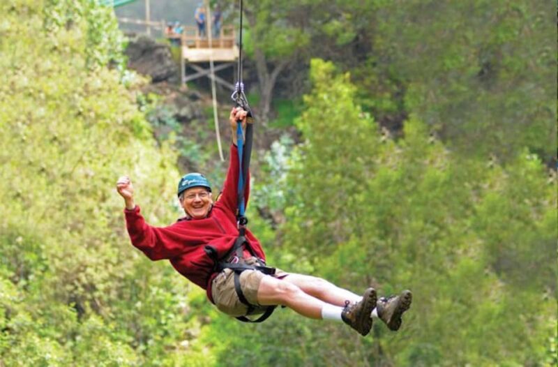 Maui: Haleakala 6-Line Zipline Adventure - Experience Overview: What to Expect
