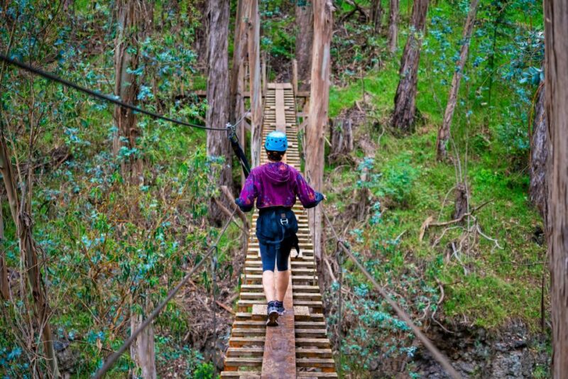 Maui: Haleakala 6-Line Zipline Adventure - The Scenic Beauty and Educational Value