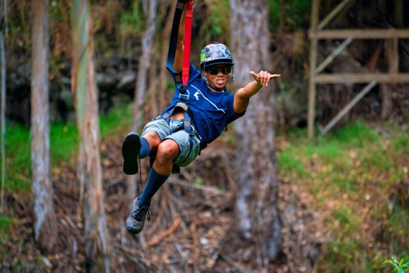 Maui: Haleakala 6-Line Zipline Adventure - The Value for Money
