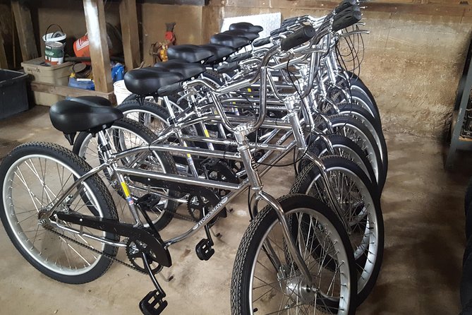 Maui Haleakala Day Bike Tour With Mountain Riders From 6500 to Sea Level - Requirements and Restrictions for Participants