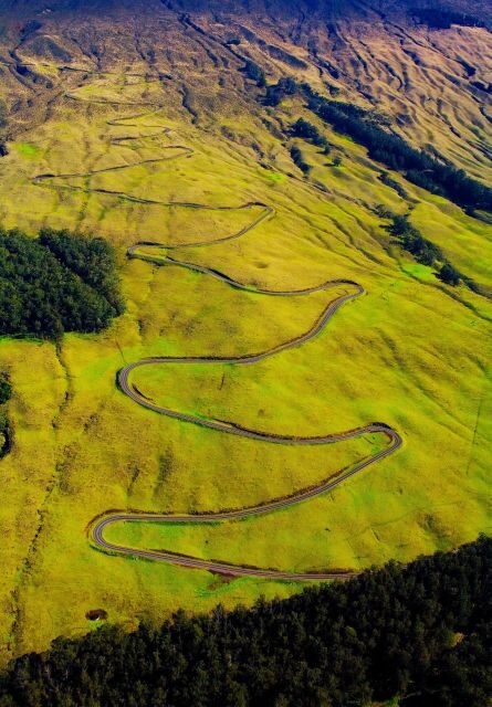 Maui: Haleakala Guided Bike Tour - Authentic Insights from Past Travelers