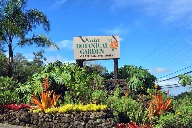 Maui Haleakala Volcano Summit Slingshot Tour from Kihei - Starting Point and Overall Experience