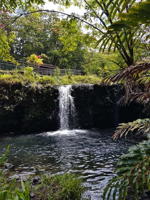 Maui: Halfway to Hana Black Sand Beach & Turtles Tour - Key Points