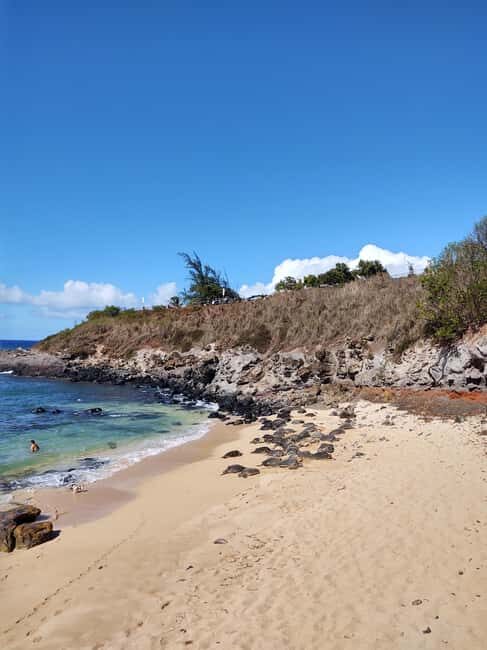 Maui: Halfway to Hana Black Sand Beach & Turtles Tour - Who This Tour is Best For