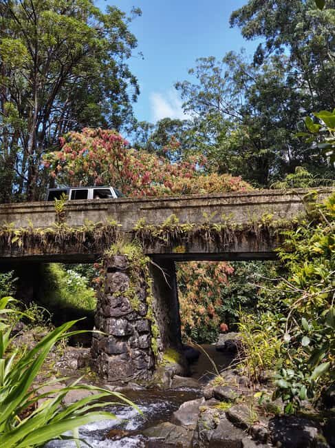 Maui: Halfway to Hana Black Sand Beach & Turtles Tour - FAQ