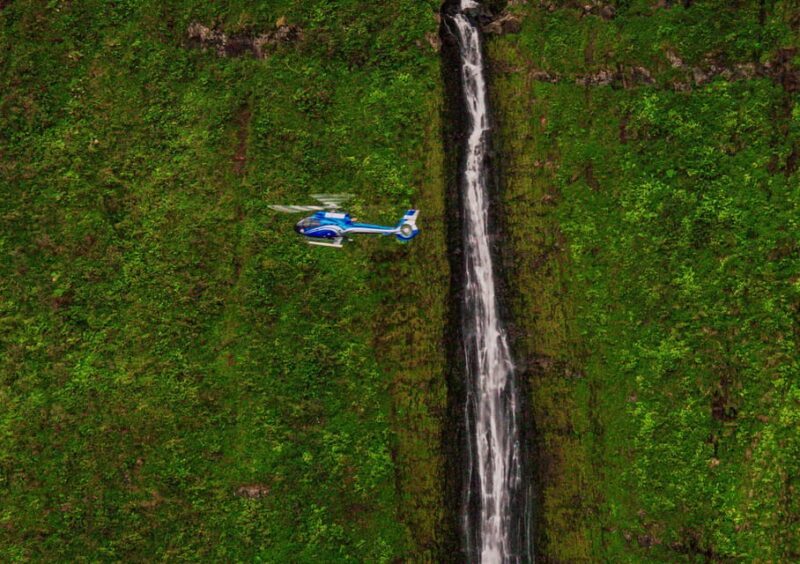 Maui: Hana Rainforest Helicopter Tour - Who Will Love This Tour?