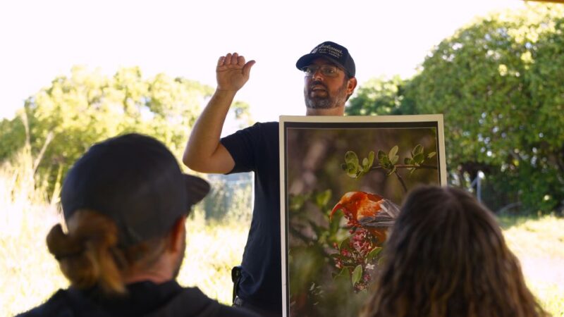 Maui: Honolua Ridgeline Informational Hike - FAQs