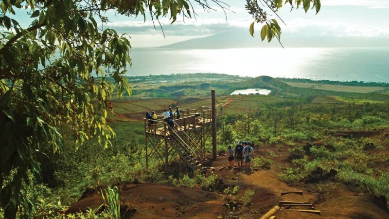 Maui: Ka'anapali 8 Line Zipline Adventure - The Scenic Highlights