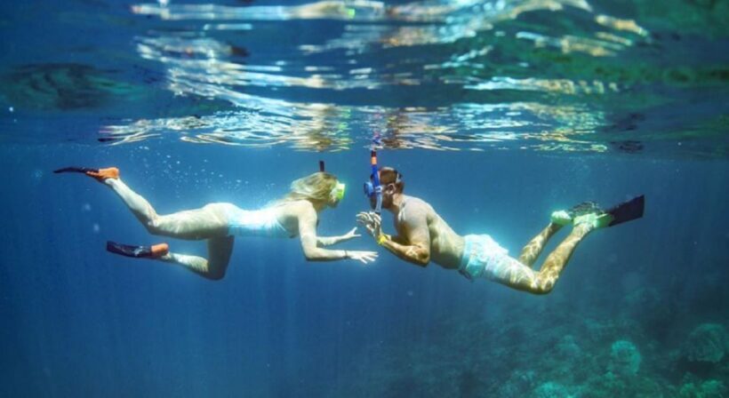 Maui: Kaanapali Beach 4-hour Snorkel w/ BBQ Lunch & Open Bar - Practical Details and Tips for Travelers