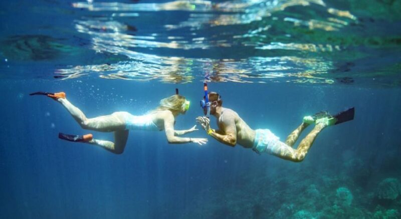 Maui: Kaanapali Beach 4-hour Snorkel w/ BBQ Lunch & Open Bar - Practical Tips