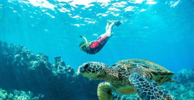 Maui: Kaanapali Beach 5-hr Snorkel w/ BBQ Lunch & Open Bar - A Deep Dive into the Experience