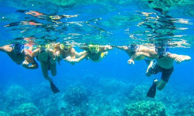 Maui: Kaanapali Beach 5-hr Snorkel w/ BBQ Lunch & Open Bar - The Practicalities: What You Need to Know