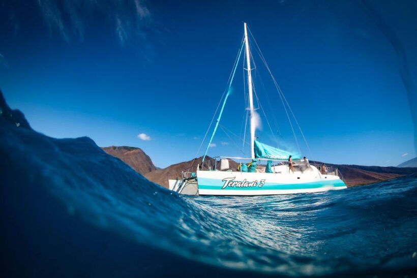 Maui: Kaanapali Dolphin Watching Boat Trip with Lunch - The Experience in Detail