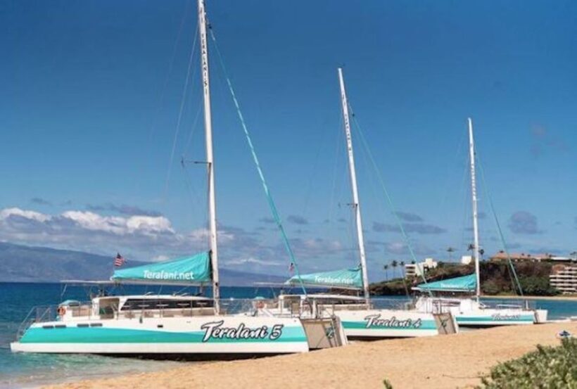 Maui: Kaanapali Dolphin Watching Boat Trip with Lunch - Who Should Consider This Tour?