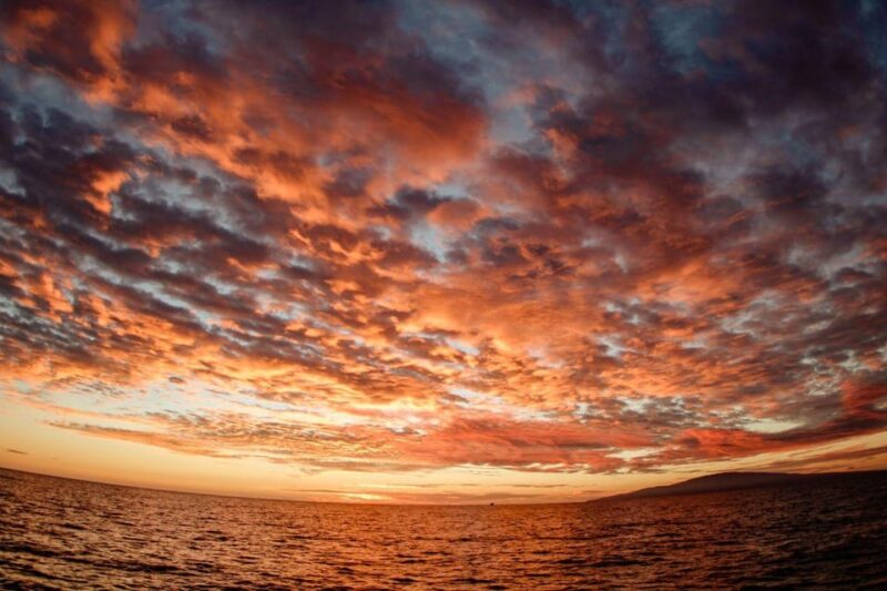 Maui: Luxury Catamaran Alii Kai Royal Sunset Dinner Cruise - Practical Details: Logistics and Comfort