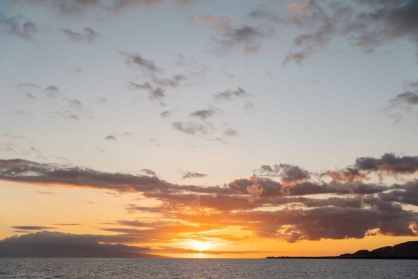 Maui: Luxury Catamaran Royal Sunset 5-Course Dinner Cruise - Authentic Experiences and Guest Feedback