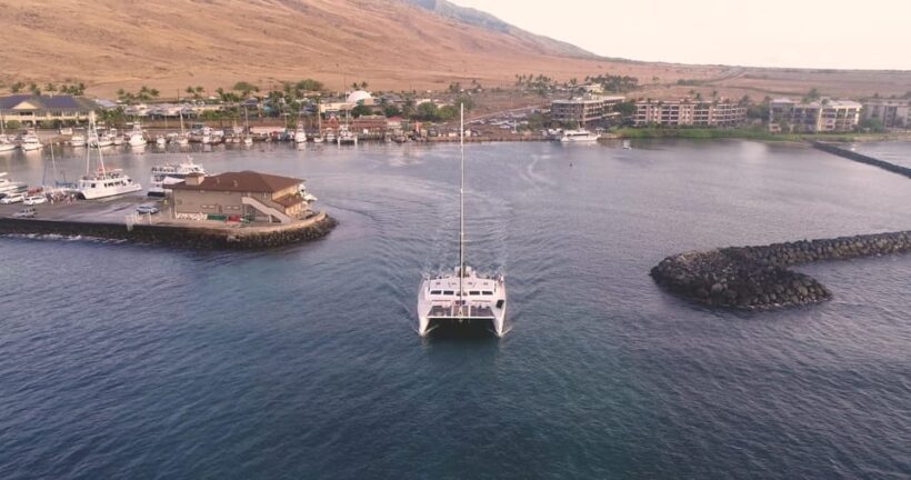 Maui: Luxury Catamaran Turtles & Tacos Snorkel - FAQ