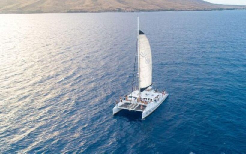 Maui: Luxury Catamaran Whale Watch & Sail - The Experience: What to Expect on the Water