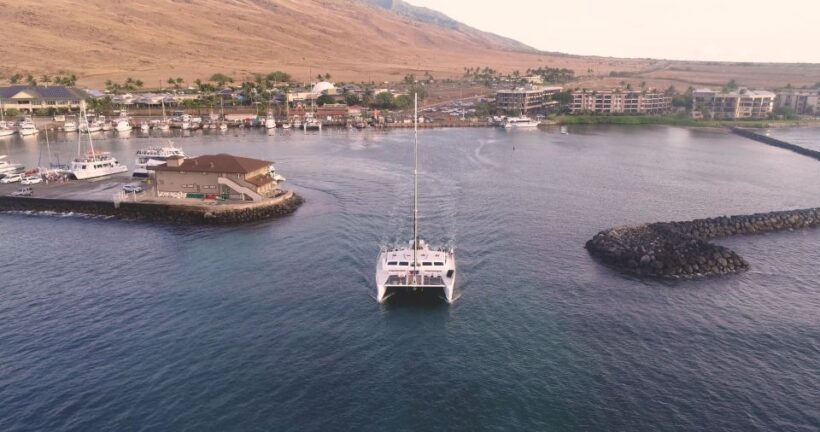 Maui: Luxury Catamaran Whale Watch & Sail - Who Is This Tour Best For?