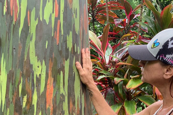 Maui Magical Waterfall and Jungle Tour: Road to Hana - Cancellation Policy