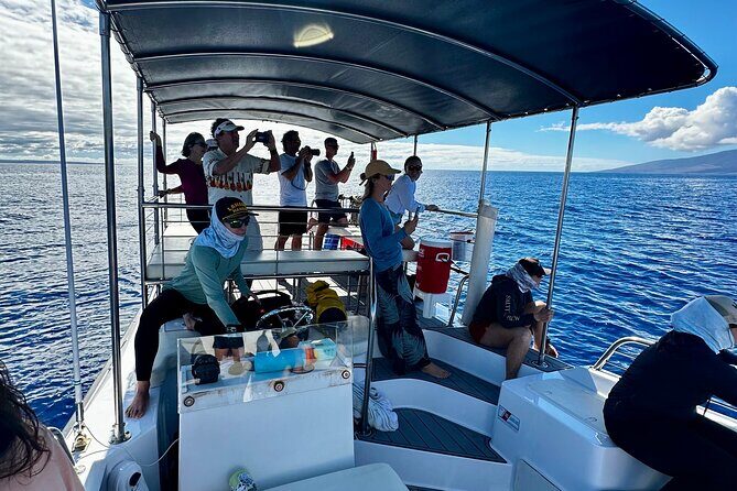 Maui Mid Day Magic Whale Watch - Authentic Experiences and Review Highlights