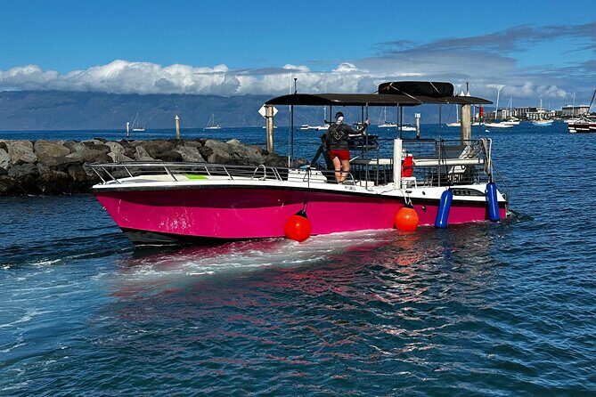 Maui Mid Day Magic Whale Watch - Who Will Love This Tour?