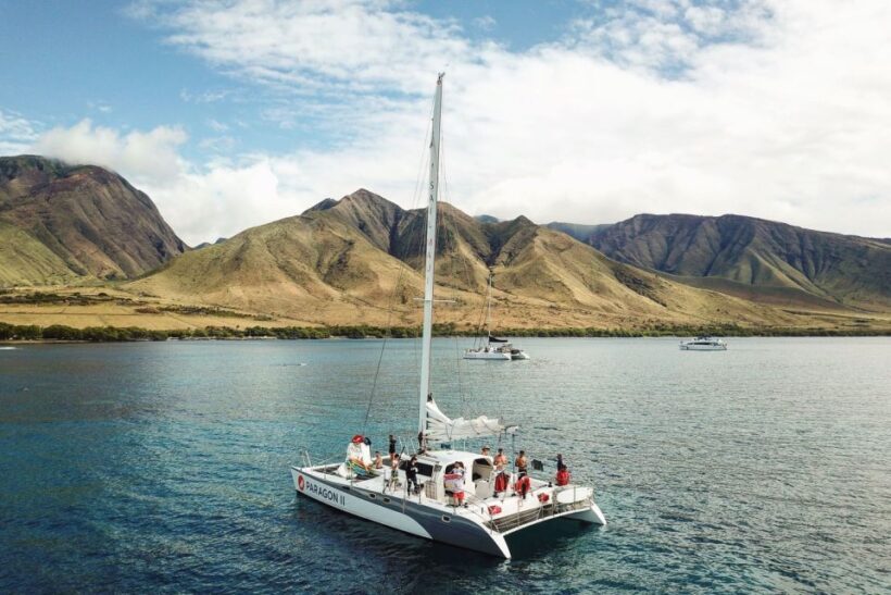 Maui: Midday Sail with the Whales Malaea Harbor - The Sailing Experience: Quiet, Eco-Friendly, and Adventurous
