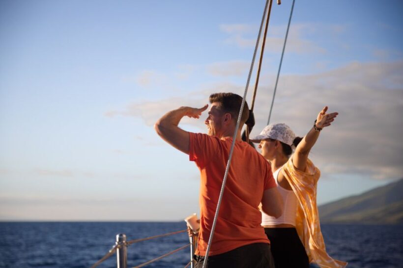 Maui: Morning Sail with the Whales Ma'alaea - The Experience: What to Expect on Your Maui Whale-Watching Sail