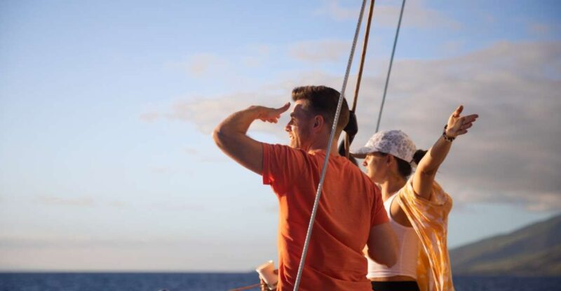 Maui: Morning Sail with the Whales Ma'alaea - Key Points