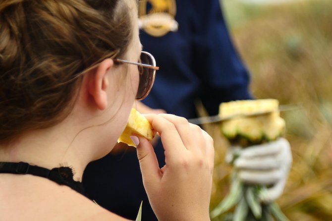 Maui Pineapple Farm Tour in Haliimaile - The Sum Up