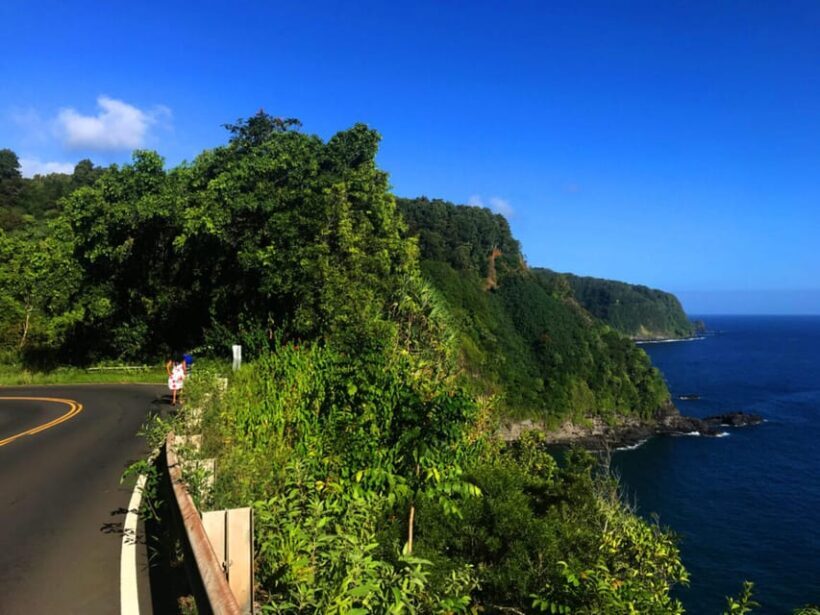 Maui: Private Halfway to Hana Tour - Who Will Love This Tour?