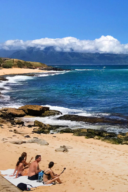 Maui: Private Halfway to Hana Tour - Who Will Love This Tour?