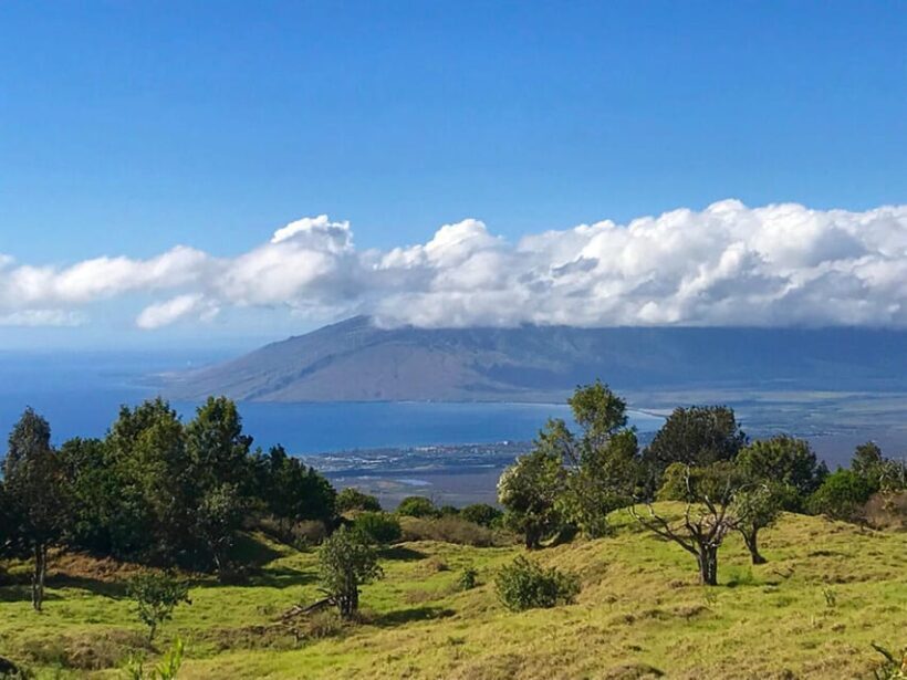 Maui: Private Island Tour with Meals & Snorkeling - Exploring Maui’s Highlights in Comfort and Style
