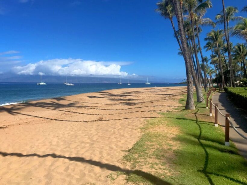 Maui: Private Island Tour with Meals & Snorkeling - Frequently Asked Questions