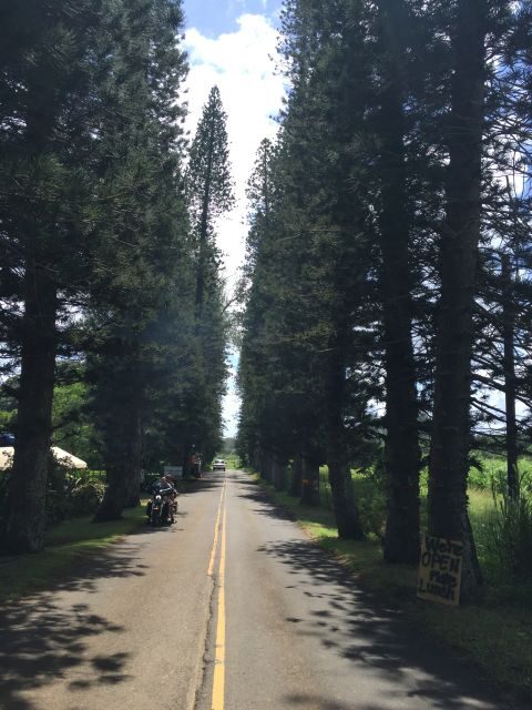 Maui : Private : Road to Hana Day Trip : Just For Your Group - The Itinerary in Detail